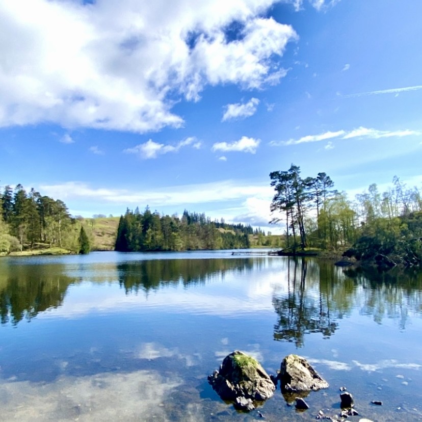 Yew Tree Tarn, Tom Gill, and Tarn Hows Circular Walk - LAKE DISTRICT SARAH