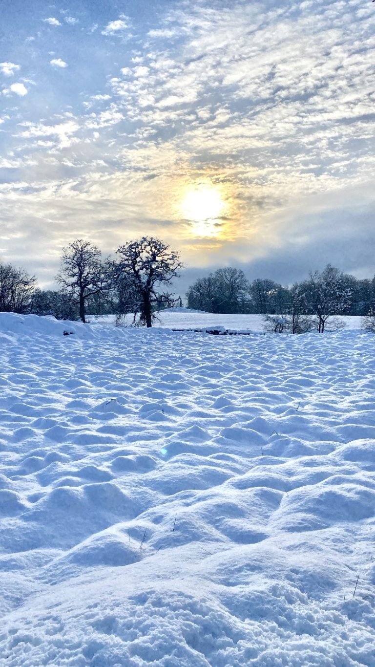 Best Time of Year to Visit the Lake District: Seasonal Tips - LAKE ...