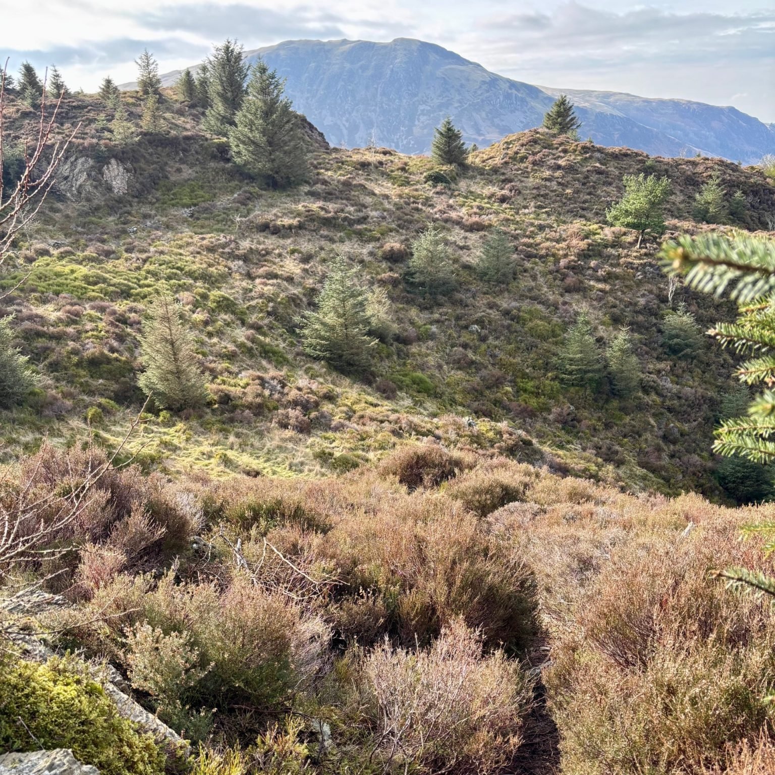 Bowness Knott, Lake District: Quiet Walk with Spectacular Views - LAKE ...