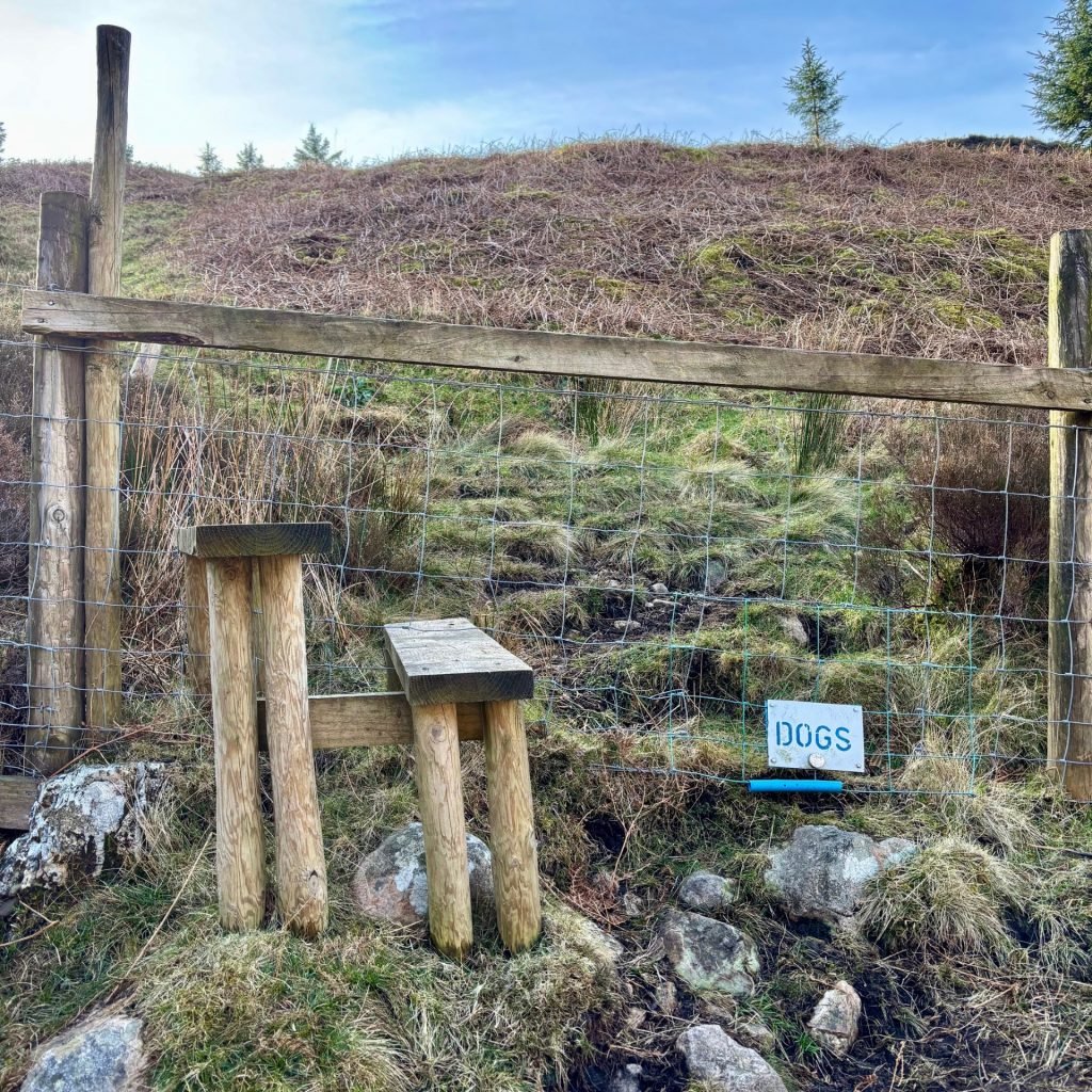 Bowness Knott, Lake District: Quiet Walk with Spectacular Views - LAKE ...