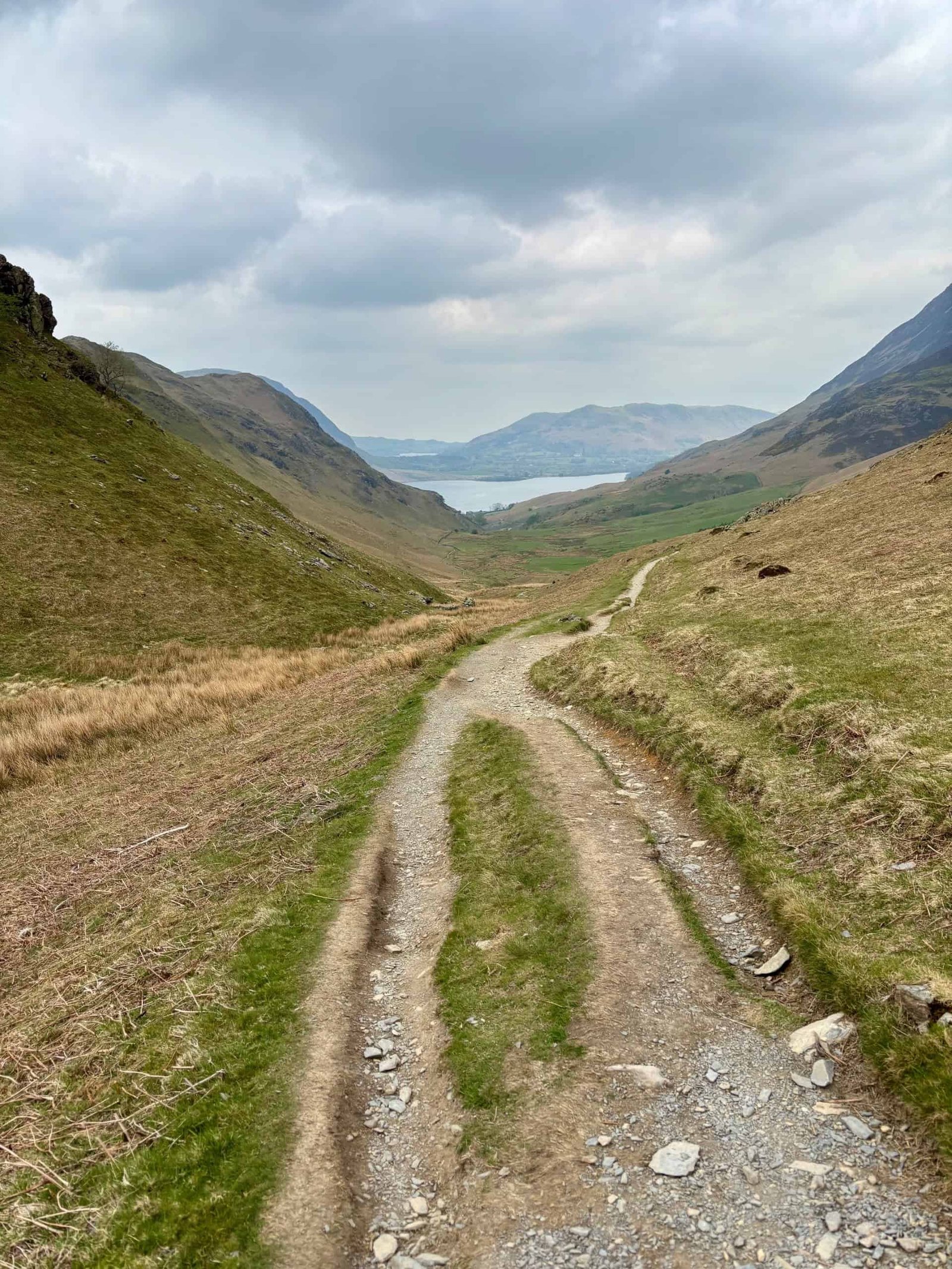 Rannerdale Bluebells: A Guide to the magical Lake District Walk - LAKE ...